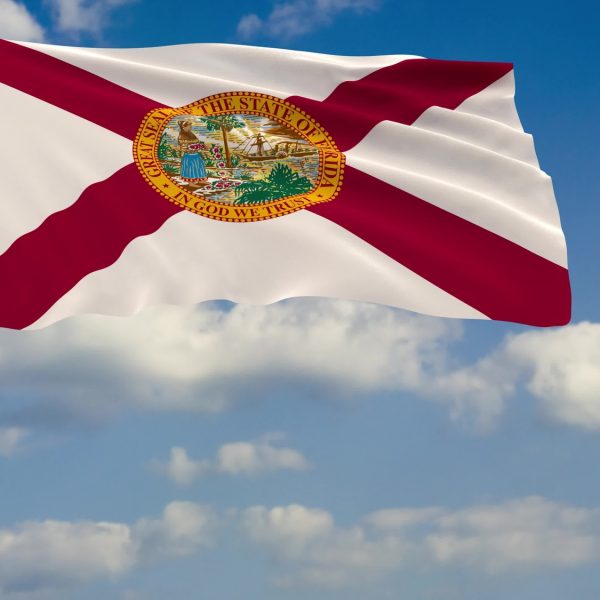 Veterans Flag Depot American-made flags since 2004!