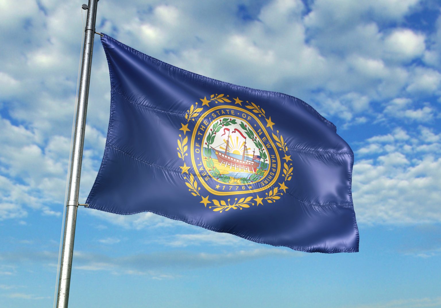 New Hampshire State Flag | Veterans Flag Depot