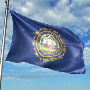 New Hampshire State Flag | Veterans Flag Depot